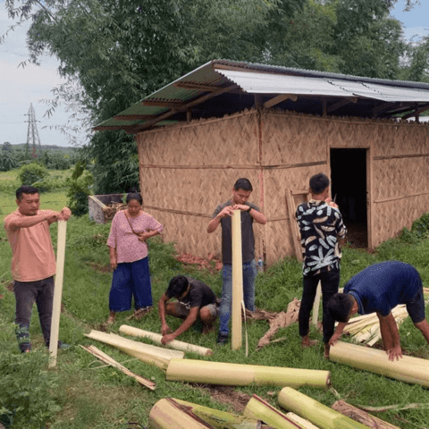 Banana Fibre Extraction - YouthNet