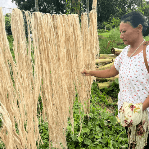 Banana Fibre Extraction - YouthNet