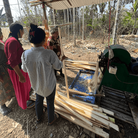 Banana Fibre Extraction - YouthNet